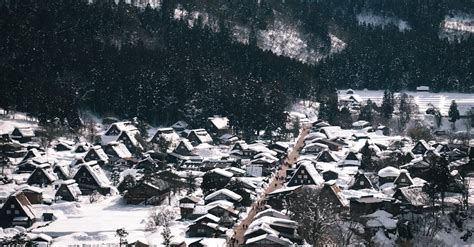 감기 갓쇼즈쿠리 건축 겨울 겨울 시즌 경치 고요한 관광 그림 같은 기후 나무 농촌의 눈 눈이 내리는