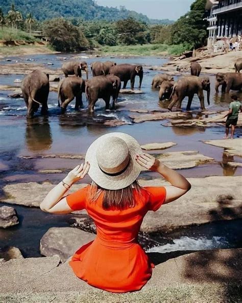 Dulantha Rajapakshe On Linkedin Visitsrilanka