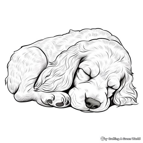 Printable Cocker Spaniel Coloring Page 2025