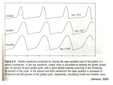 Acoustic Phonetics Lecture 91011 Flashcards Quizlet