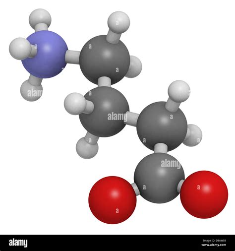Gamma Aminobutyric Gaba Neurotransmitter Molecular Model Atoms Are