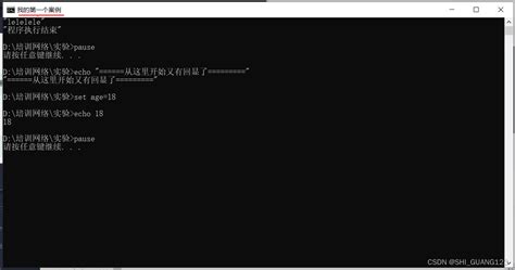 批处理基础：脚本、dos命令与控制回显 Csdn博客