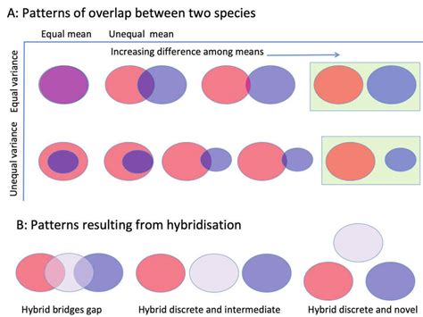 Patterns Of Morphological Variation Among Two Species Showing Patterns Download Scientific