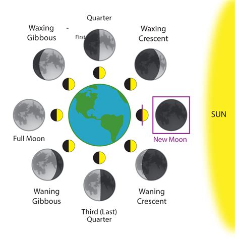 Science Diagram Quizlet