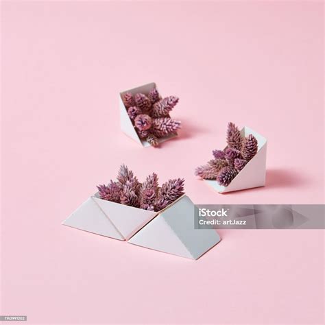 복사 공간 분홍색 배경에 소나무 콘과 삼각형 골 판지 상자의 집합입니다 창의적인 구성 솔방울 코니퍼 방울에 대한 스톡 사진 및 기타 이미지 솔방울 코니퍼 방울 종이접기