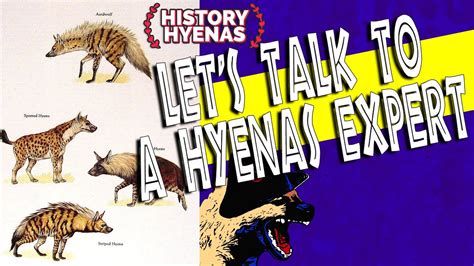 Ask A Hyena Expert Ep 88 History Hyenas Youtube