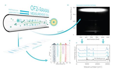 In Flow Raman Analysis Identifies Particles And Contaminants
