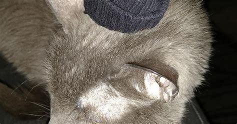 Troubles Hat Album On Imgur