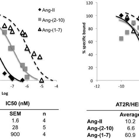 Displacement Curves Of Competition Radioligand Binding Studies