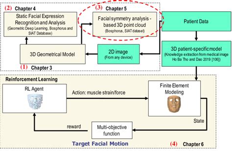 The Thesis Workflow The Part Corresponds With Facial Symmetry Analysis The Thesis Workflow The Part Corresponds With Facial Symmetry Analysis