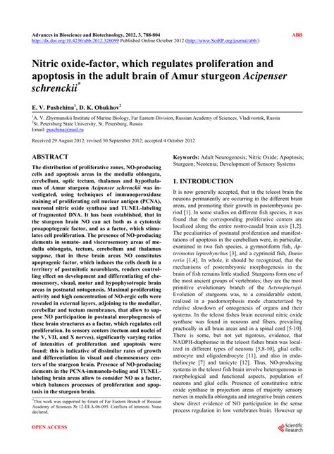 Pdf Nitric Oxide Factor Which Regulates Proliferation And Apoptosis