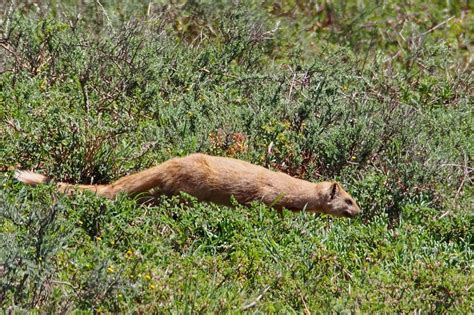 Untitled Lars Juhl Jensen Flickr