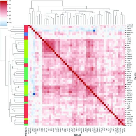 methylcapsnet derived gene network clustermap of weighted bipartite