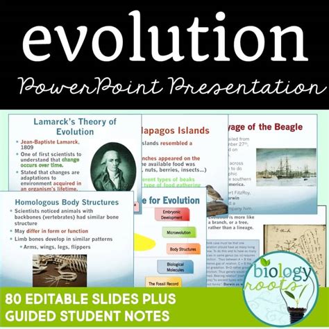 Evolution And Natural Selection Notes Editable Powerpoints By Biology