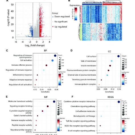 The Functional Enrichment Analysis Of The Significant Differentially