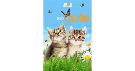 Too Cute Tv Review Common Sense Media