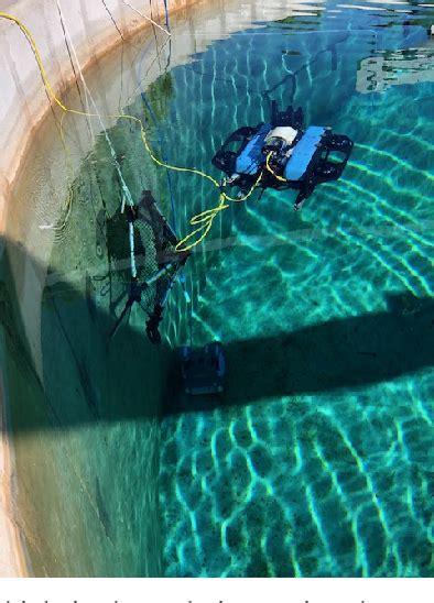 Figure 5 From Attention Based Self Supervised Hierarchical Semantic Segmentation For Underwater