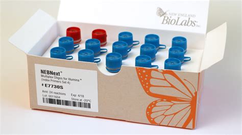 Nebnext® Multiplex Oligos For Illumina Index Primers Set 4 New England Biolabs Next