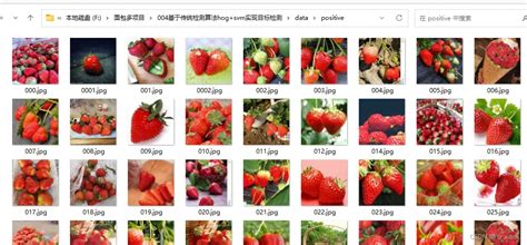 基于传统检测算法hog Svm实现目标检测 哔哩哔哩