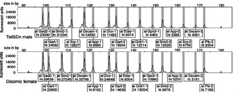 Electropherogram Traces The Traces Are A Visual Representation Of The