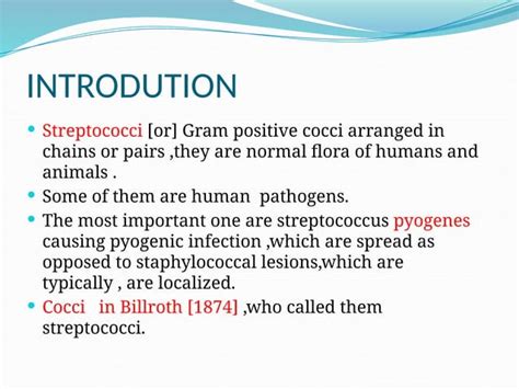 Streptococcus Pyogenes Introduction Classification Ppt