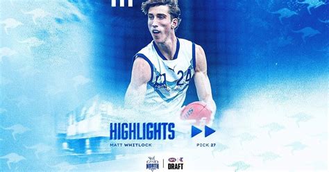 The Best Of New Roo Matt Whitlock