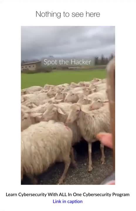 Alexander Lyamin On Linkedin Qratorlabs Technology Security Cybersecurity Cyber Data