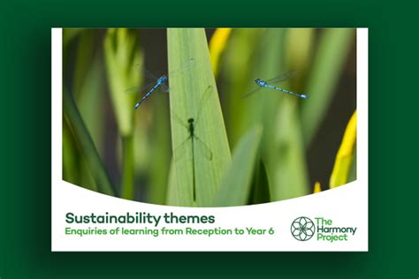 How To Embed Sustainability Themes In The Primary Curriculum The