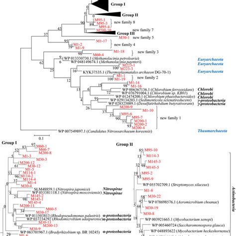 Characterization Of The Arsm Proteins Identified From Microbial