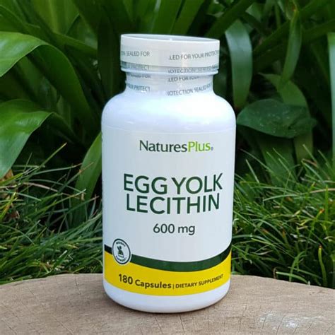 Egg Lecithin Lipoid At Amy Beasley Blog