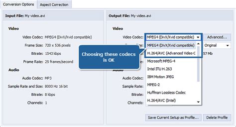 How To Perform Multi Pass Conversion With Avs Video Converter