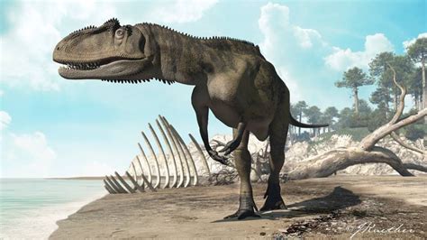 Dinosaurios Y Vida Prehistórica Metriacanthosaurus Un Terópodo Poco