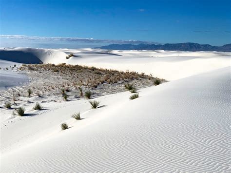 A 5 Day New Mexico National Park Road Trip