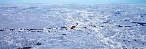 Sea Ice Forecasts
