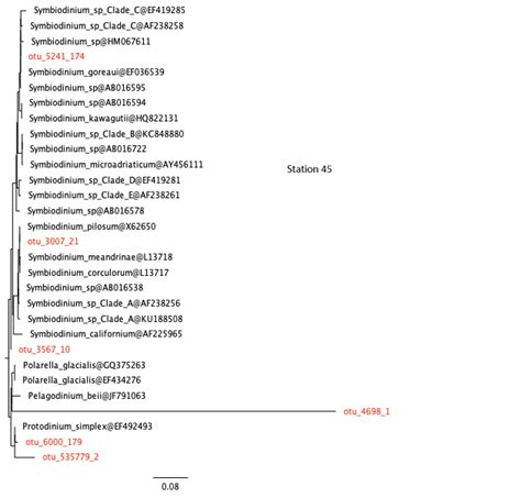 4 Investigating Taxa Of Interest Environmental Diversity Of Microbial Eukaryotes