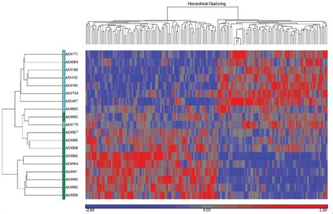 Hierarchical Clustering Of 19 Samples Of Thin Melanoma Samples Were Download Scientific