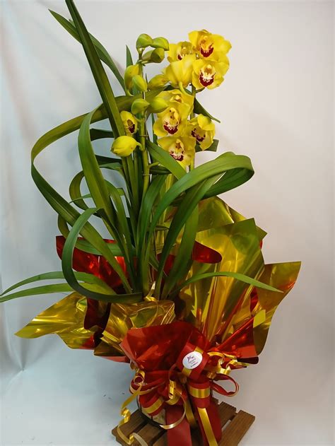 Catálogo Digital De Hanami Floricultura