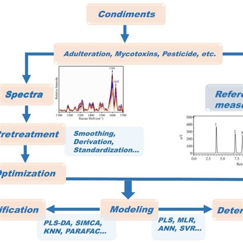Illustration Of Hyperspectral Imaging Process In Condiment Detection Download Scientific