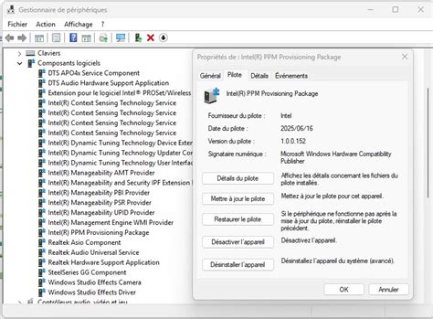 Station Drivers Intel Ppm Provisioning Package Drivers Version 1 0