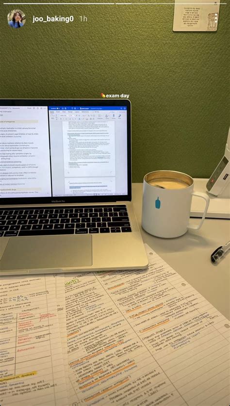 Studying Aesthetic Photo For Exam Day Study