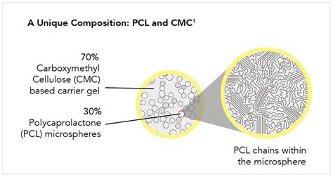 Ellansé PCL Fillers Singapore OM Aesthetics Clinic