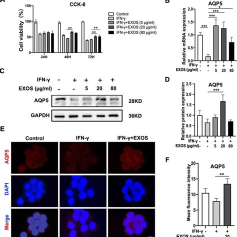 Transcriptome Analysis Of Salivary Gland Epithelial Cells Treated With