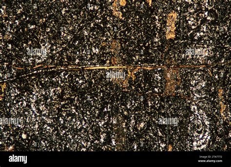 Rhyolite Is A Volcanic Rock Equivalent To Intrusive Granite Photomicrograph Thin Section
