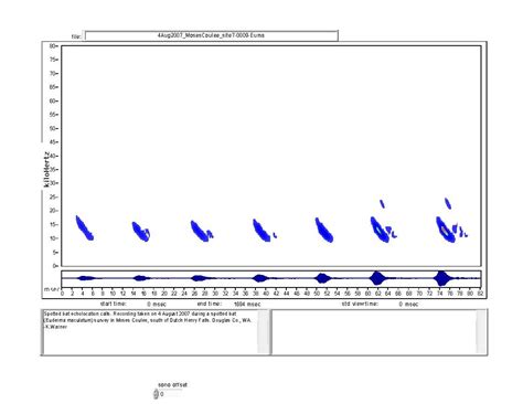 Echolocation Bats U S National Park Service