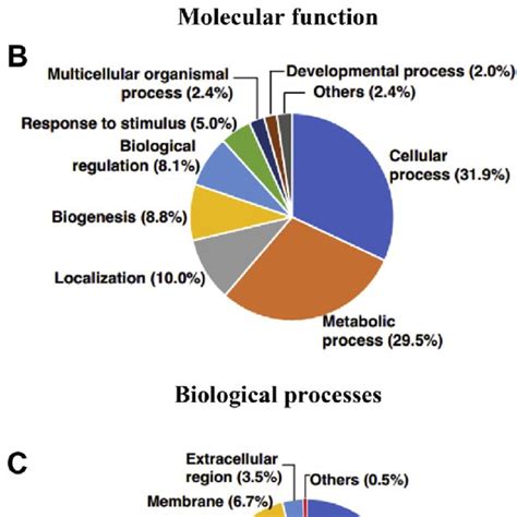 Classification Of Proteins Based On Molecular Functions A Biological Download Scientific