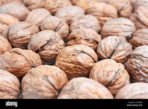 Close Up Of Many Healthy Walnuts View Of Fresh Walnuts Healthy Nuts