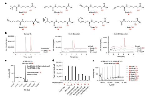 Enzyme Chemistry On Twitter Genetically Programmed Cell Based Synthesis Of Non Natural Enzyme Chemistry On Twitter Genetically Programmed Cell Based Synthesis Of Non Natural