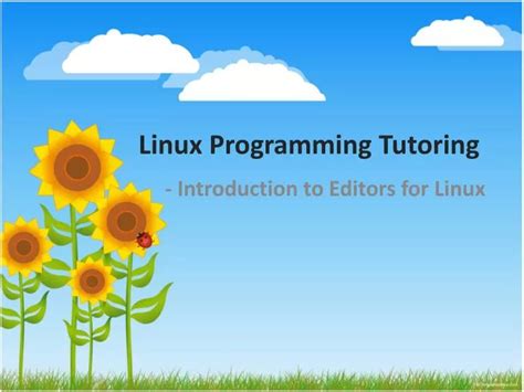 Ppt Linux Programming Tutoring Powerpoint Presentation Free Download Id2315697