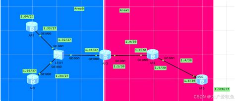 Ospf实验 Csdn博客