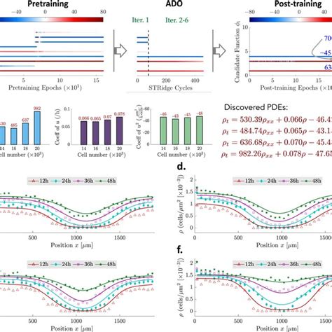 Schematic Architecture Of The Framework Of Pinn Sr For Data Driven Download Scientific Diagram
